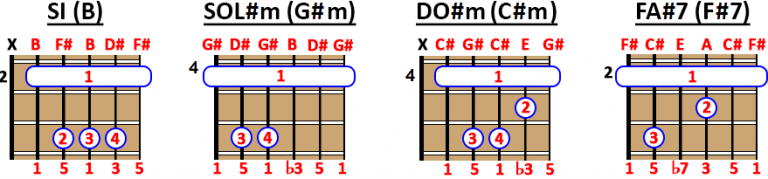 Círculos de Guitarra 】 El Tutorial de los círculos armónicos