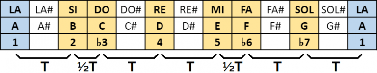 ≫ Grados Musicales ¿Qué son?¿Cómo se llaman? y sus funciones