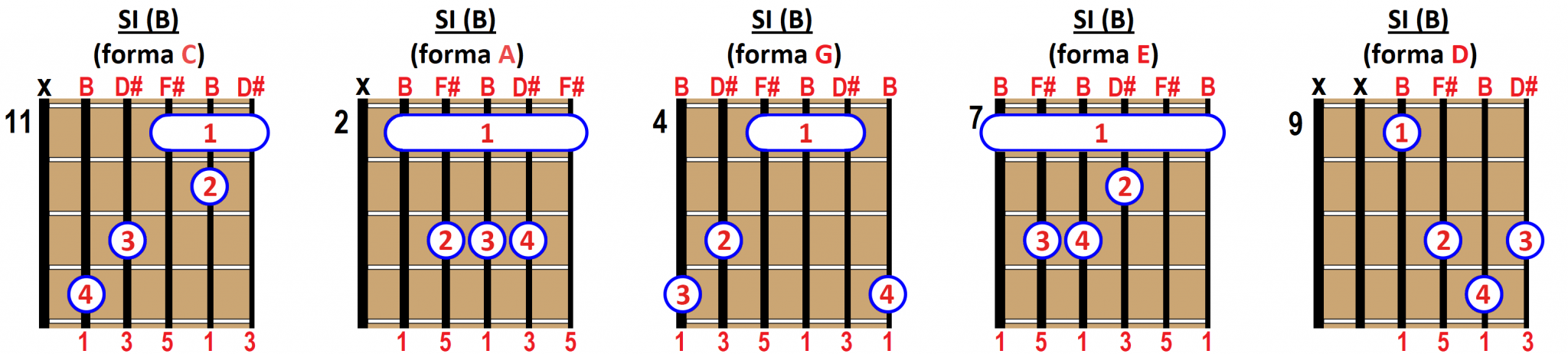 ACORDE SI en GUITARRA Cómo Construirlo y Tocarlo