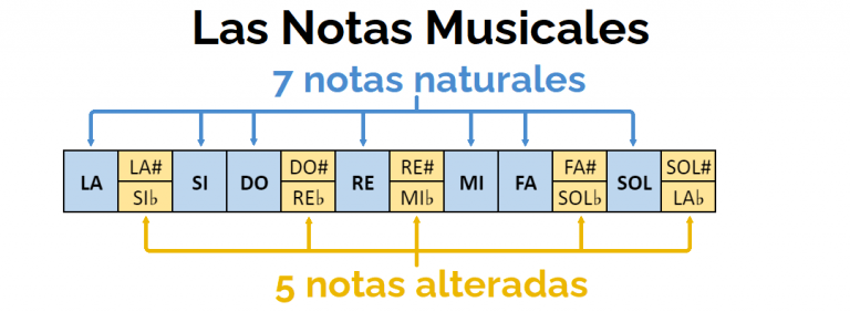 NOTAS MUSICALES La Guía para Comprenderlas