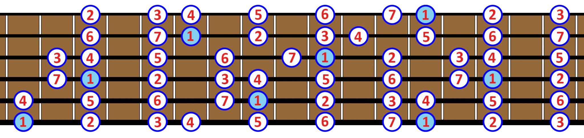 The MAJOR SCALE Notes and 7 Positions on the Guitar