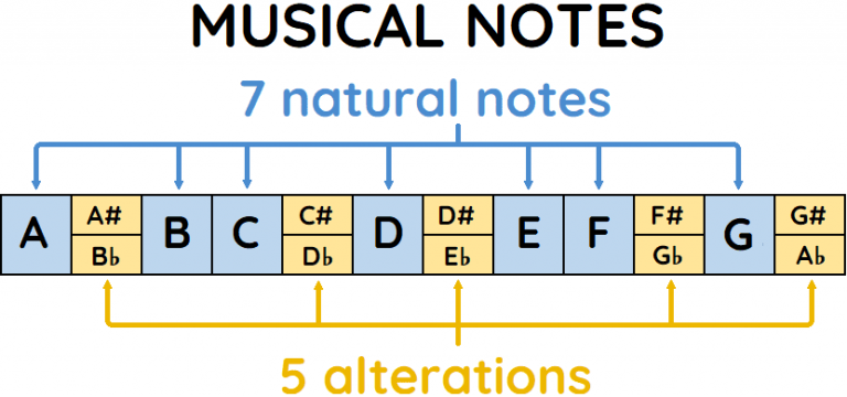Guitar Notes Chart: How to master the Fretboard in 3 steps