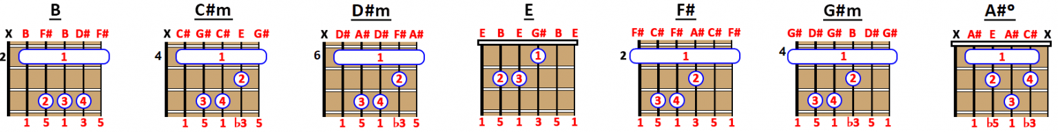 B MAJOR SCALE: What is it and How to play it on Guitar