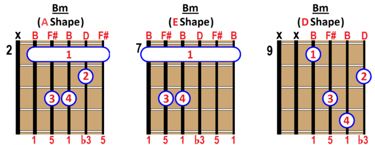 How to Play B minor Bm Chord on Guitar, Ukulele and Piano