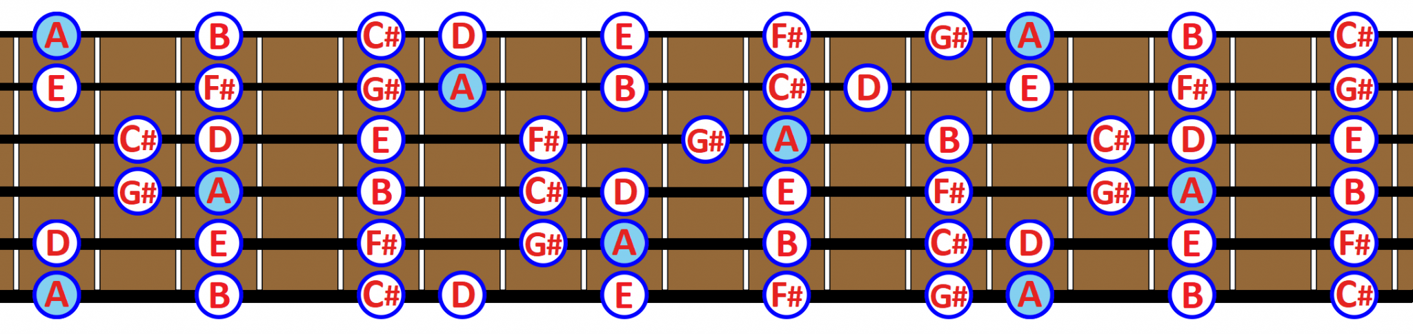 The MAJOR SCALE Notes and 7 Positions on the Guitar
