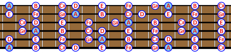 The MAJOR SCALE Notes and 7 Positions on the Guitar